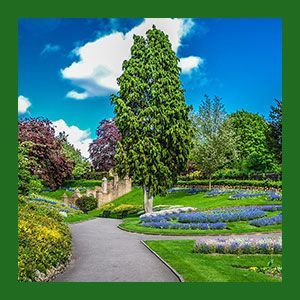 CSTC Pty Ltd (RTO#0699) » Our Courses